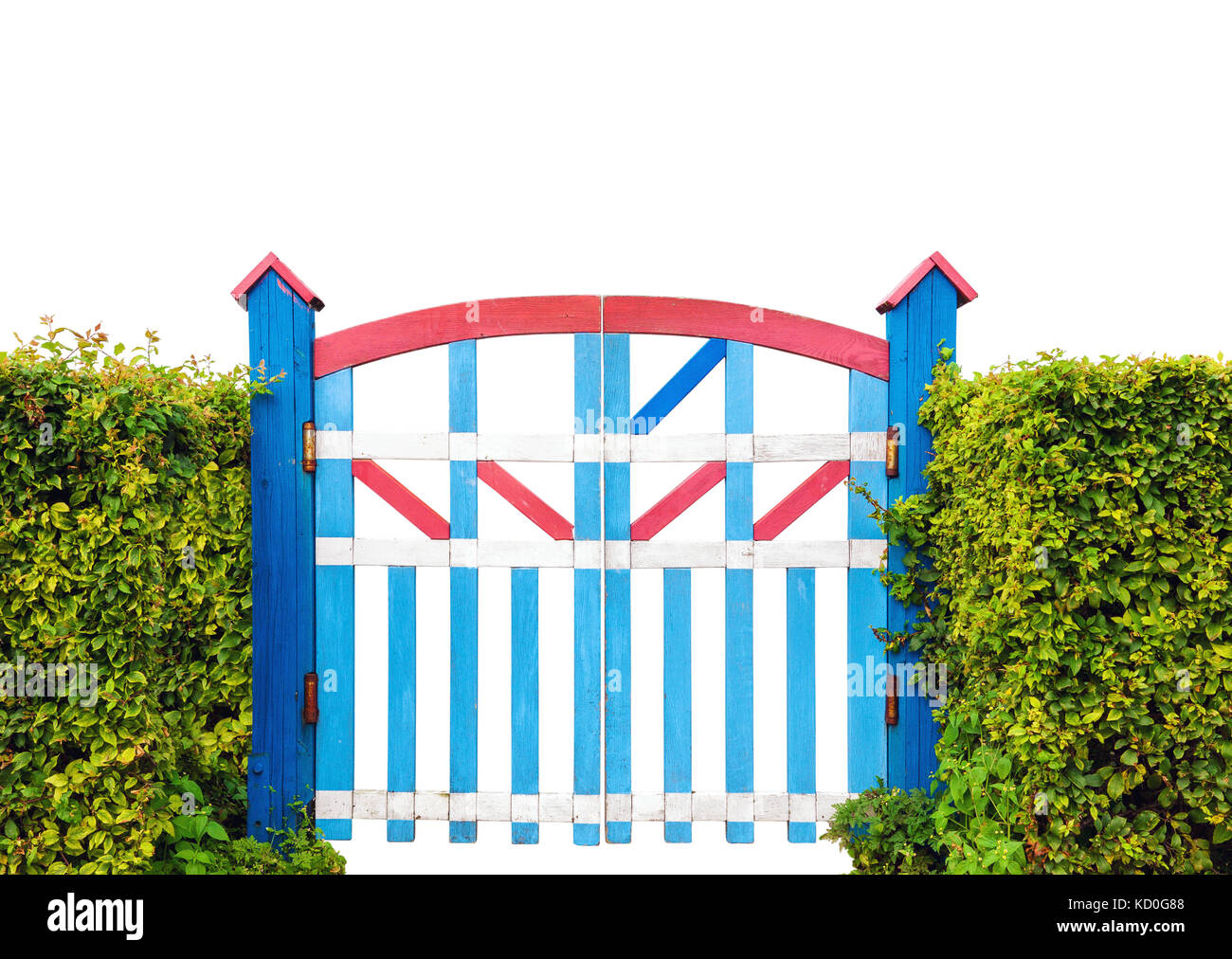 Colorful wooden garden gate with green bush fence isolated on white ...