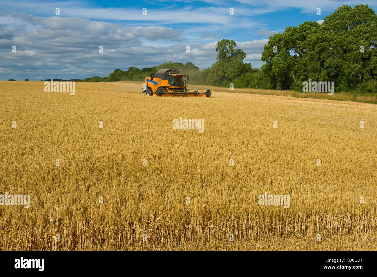Preparation for harvesting hi-res stock photography and images - Alamy