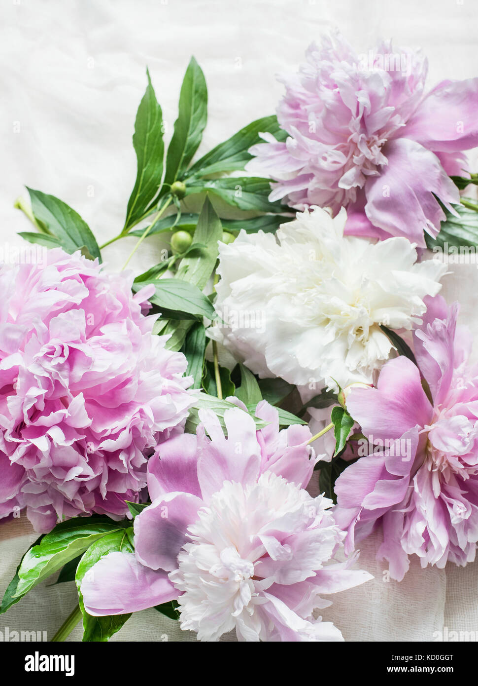 Pink peonies on table Stock Photo - Alamy