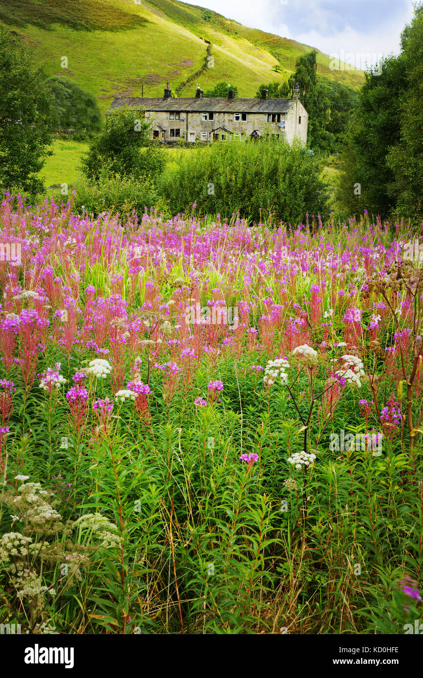 Rochdale canal hi-res stock photography and images - Alamy