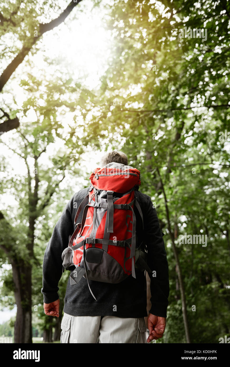 Senior man walking in forest, carrying backpack, rear view Stock Photo ...