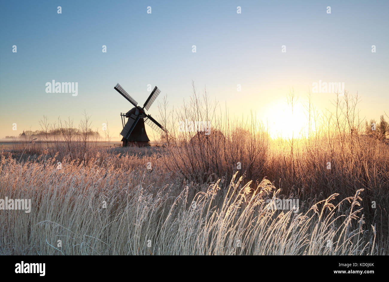 gold sunrise over Dutch windmill on frosty morning Stock Photo - Alamy