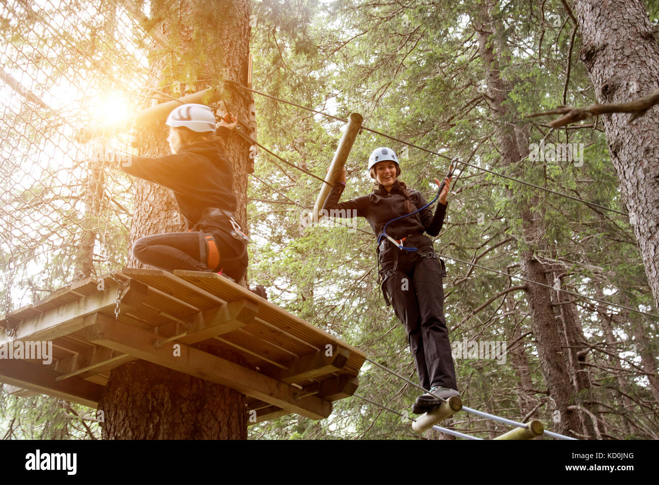 Friends in forest using high rope course Stock Photo - Alamy