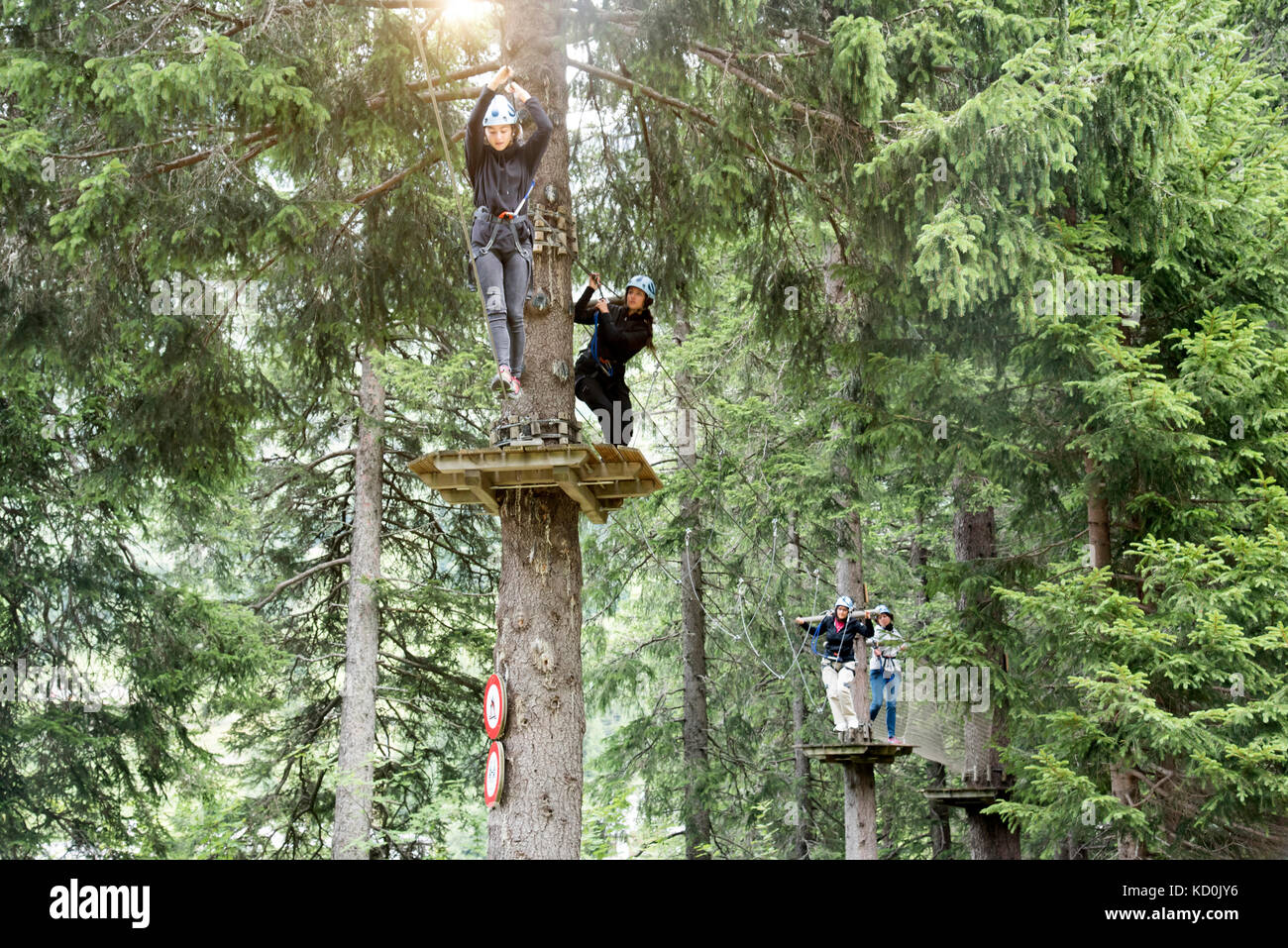 Friends in forest using high rope course Stock Photo - Alamy