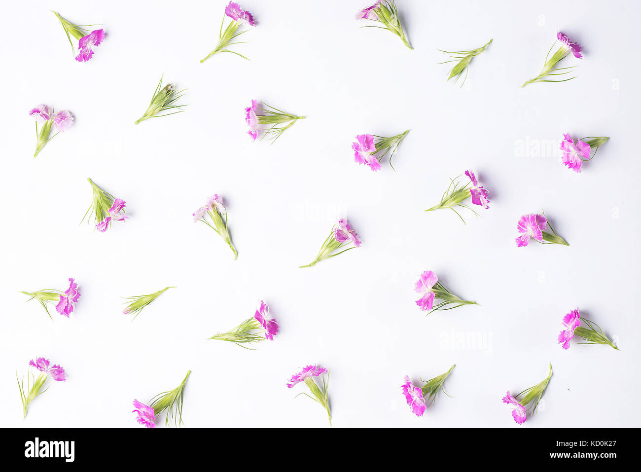 Small flowers on a white background Stock Photo - Alamy