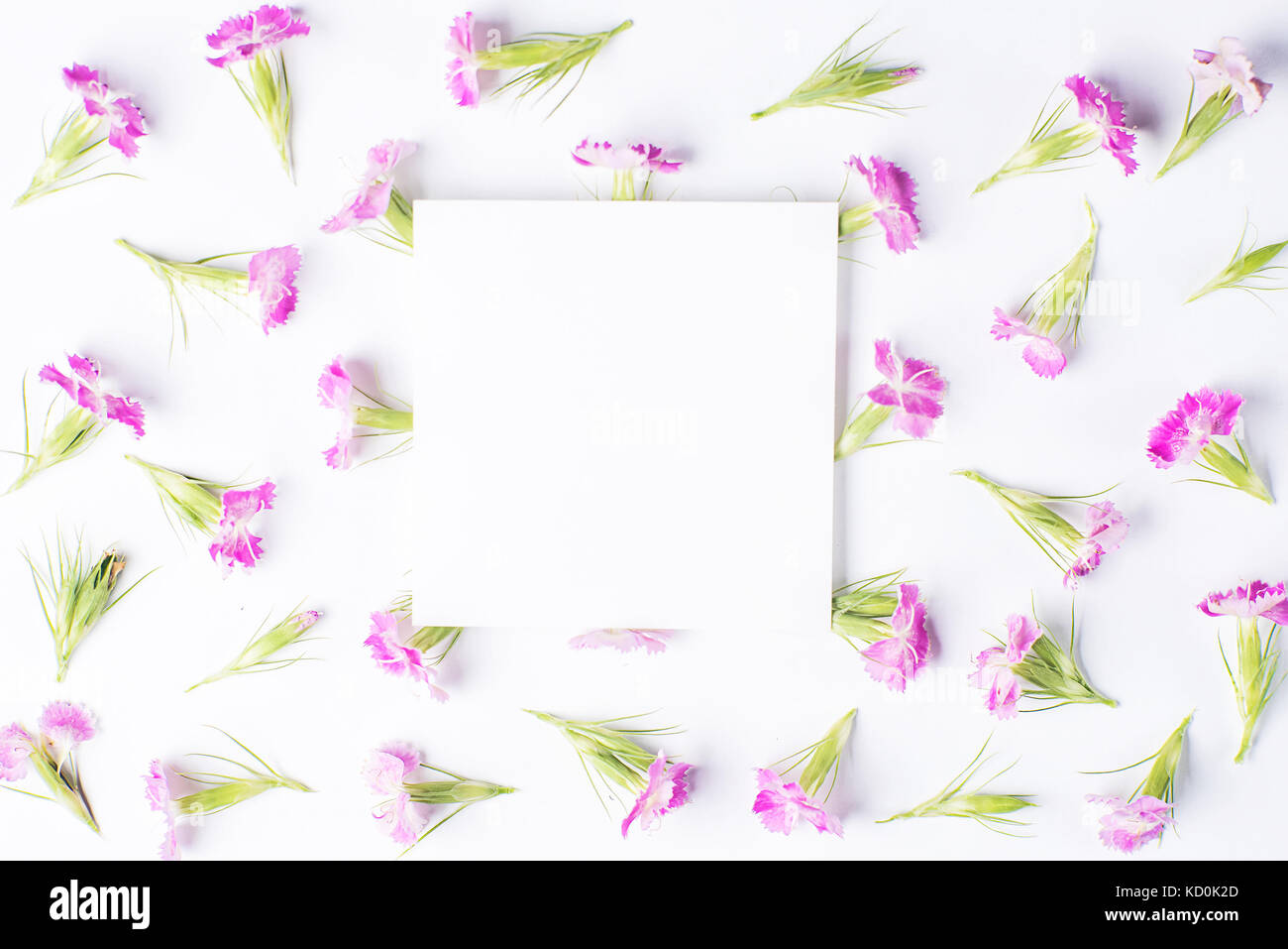 Small flowers on a white background Stock Photo - Alamy