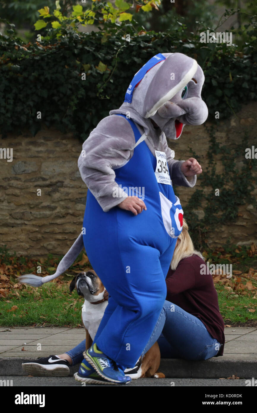 Peterborough, UK. 08th Oct, 2017. A lady with a boxer dog watches as a ...