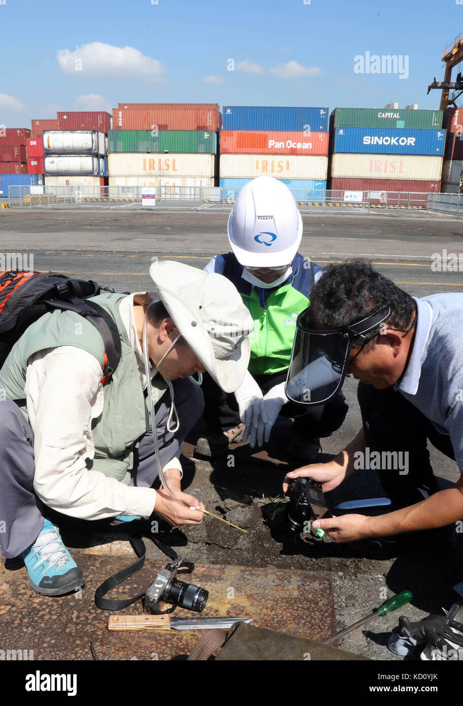 09th Oct, 2017. Inspection of wharf area over discovery of fire ants A ...