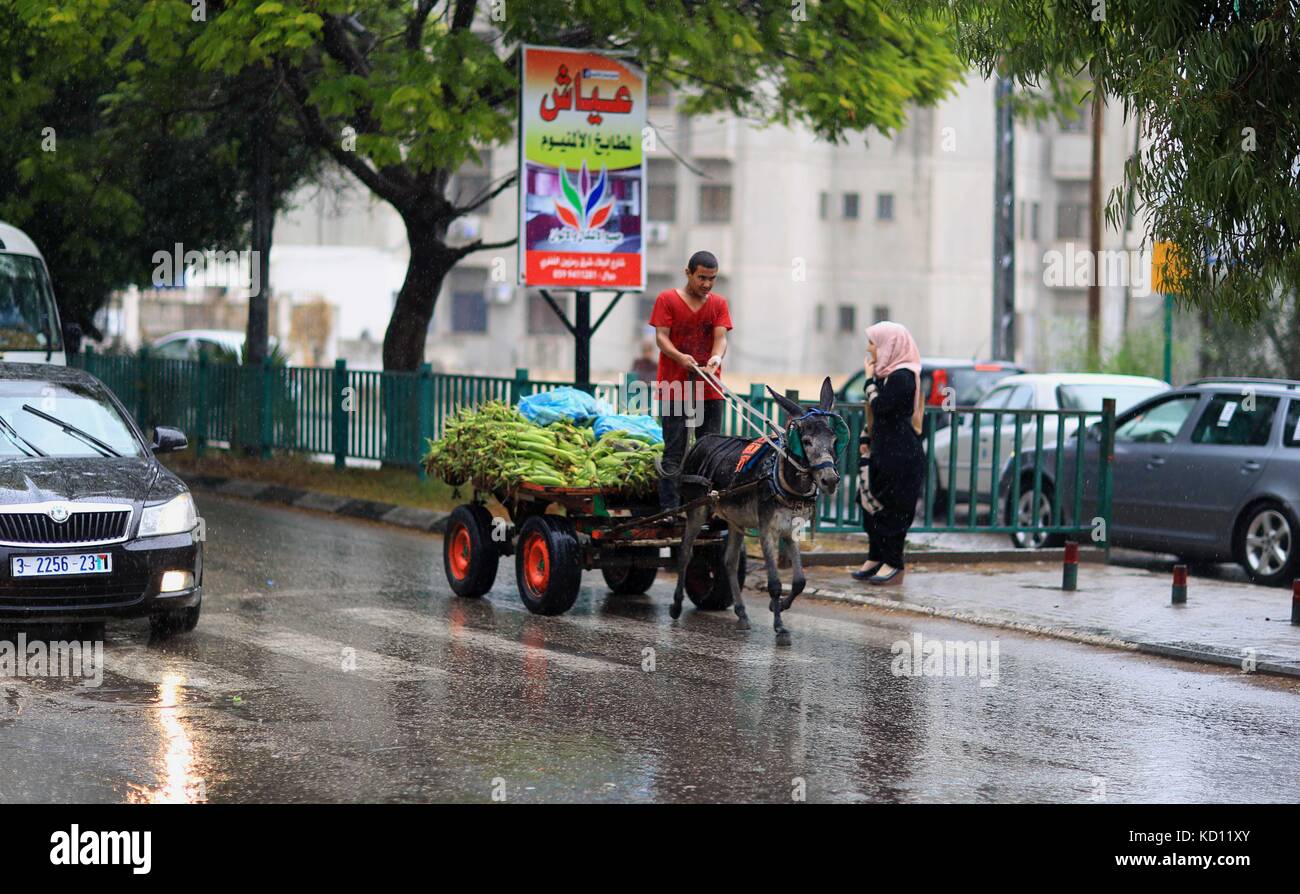 Gaza City, Gaza Strip, Palestinian Territory. 1st Feb, 2014. A ...