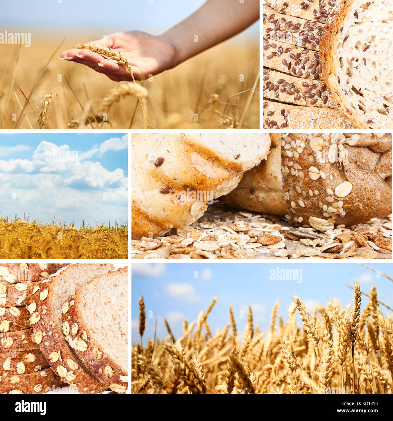 Collage of wheat and bread Stock Photo - Alamy