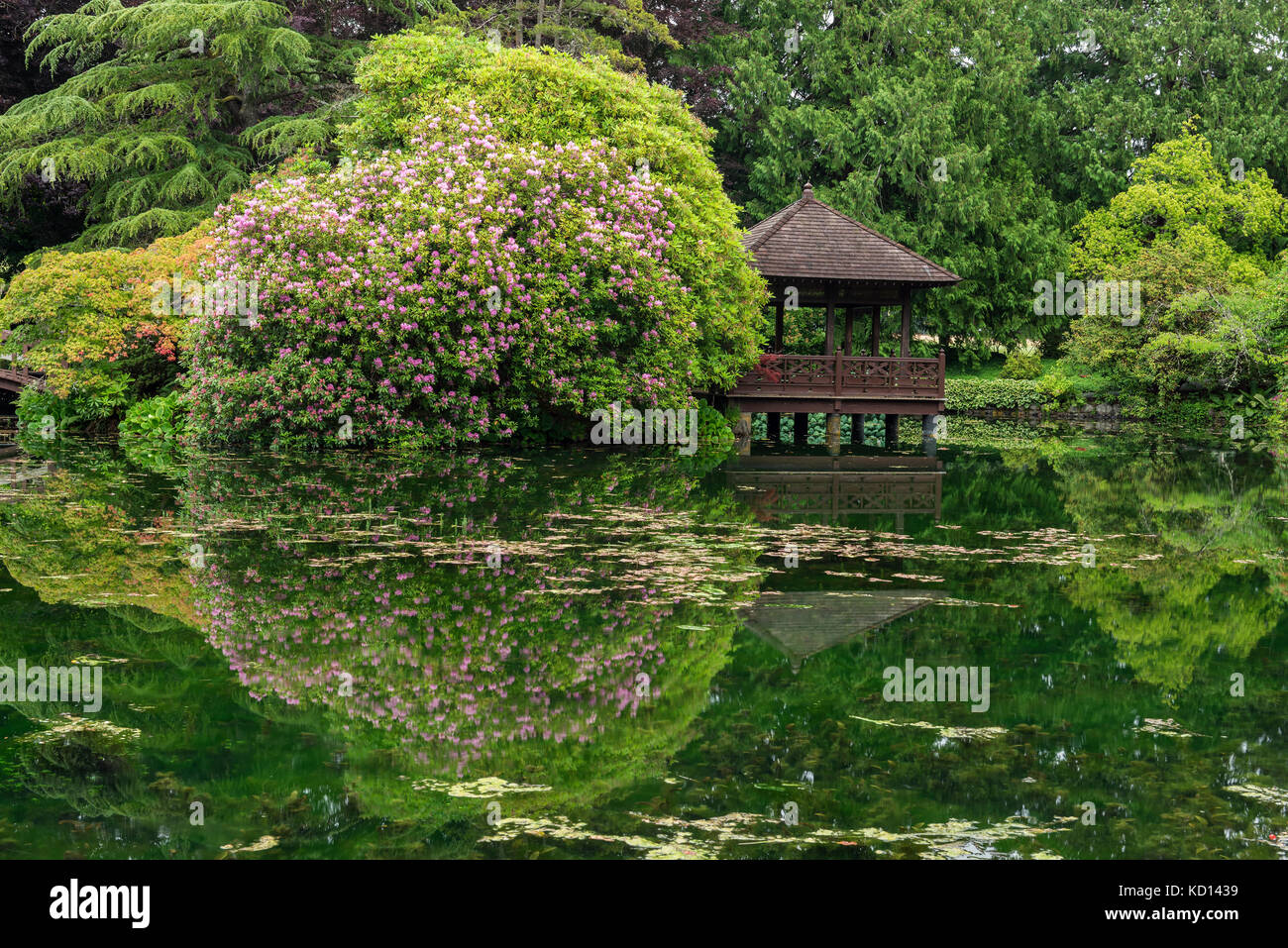 Japanese Garden, Royal Roads University, Victoria, BC Stock Photo - Alamy