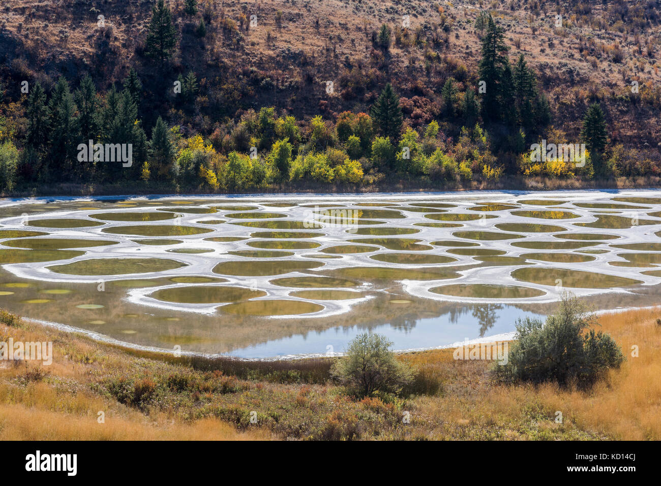 Spotted Lake High Resolution Stock Photography and Images - Alamy
