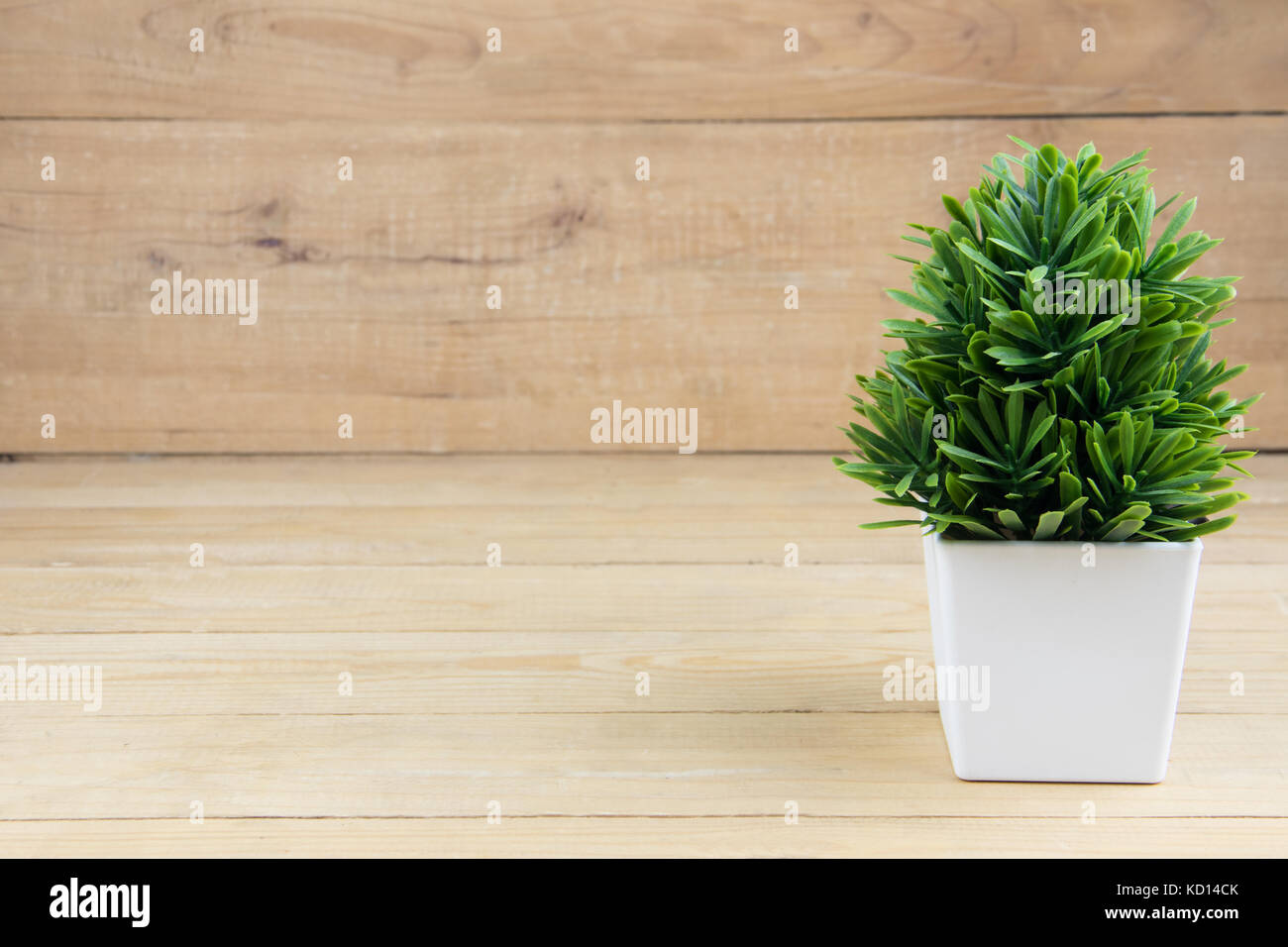 Small desk tree hi-res stock photography and images - Alamy