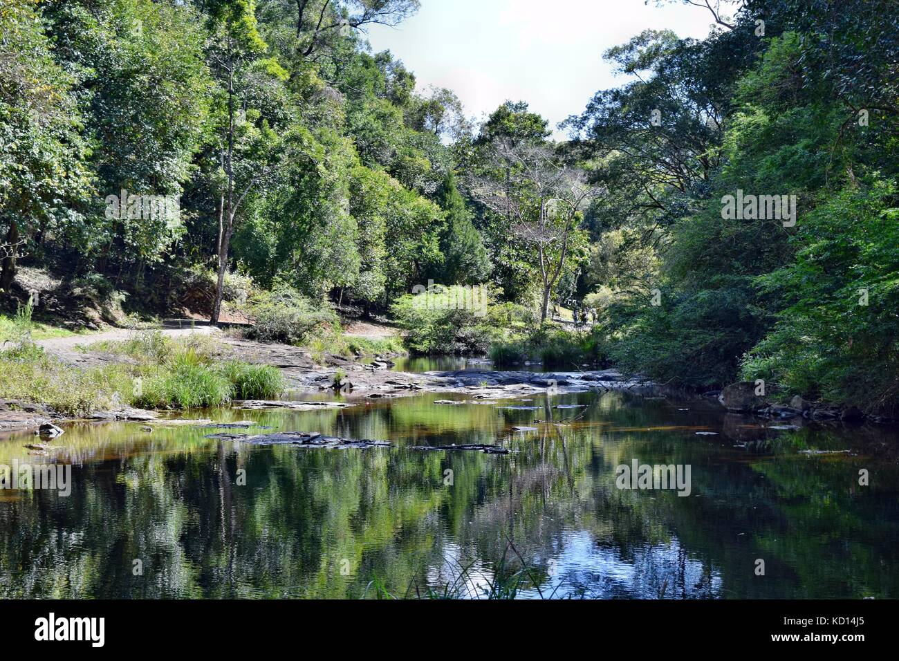 Beautiful Gardners Falls in Maleny, Sunshine Coast, Australia Stock ...