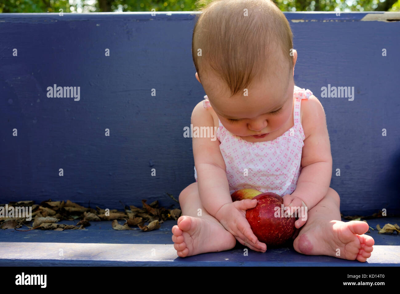 Infant girl plays with apple on bench Stock Photo - Alamy