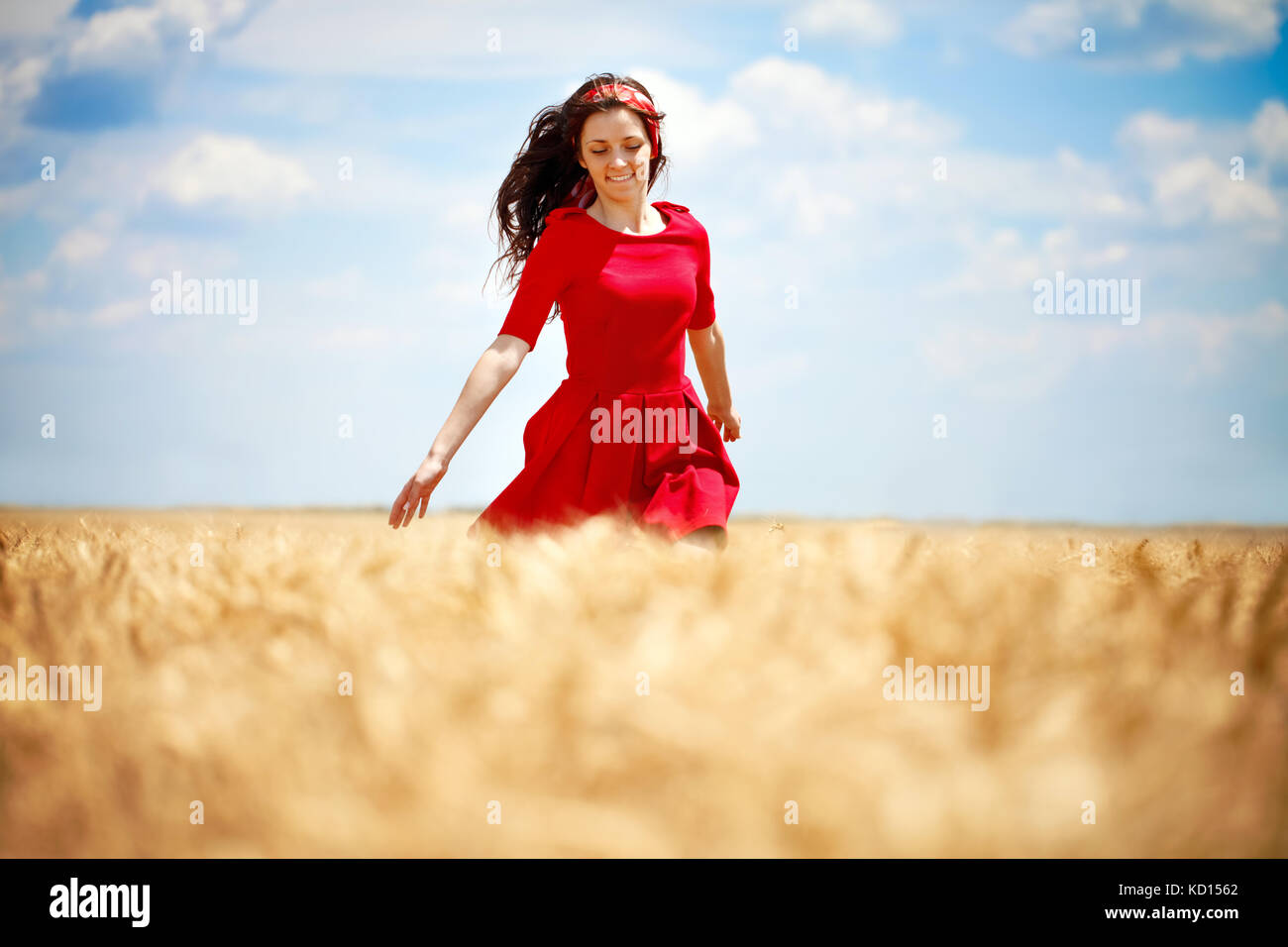 beautiful young, romantic woman running across wheat field Stock Photo ...