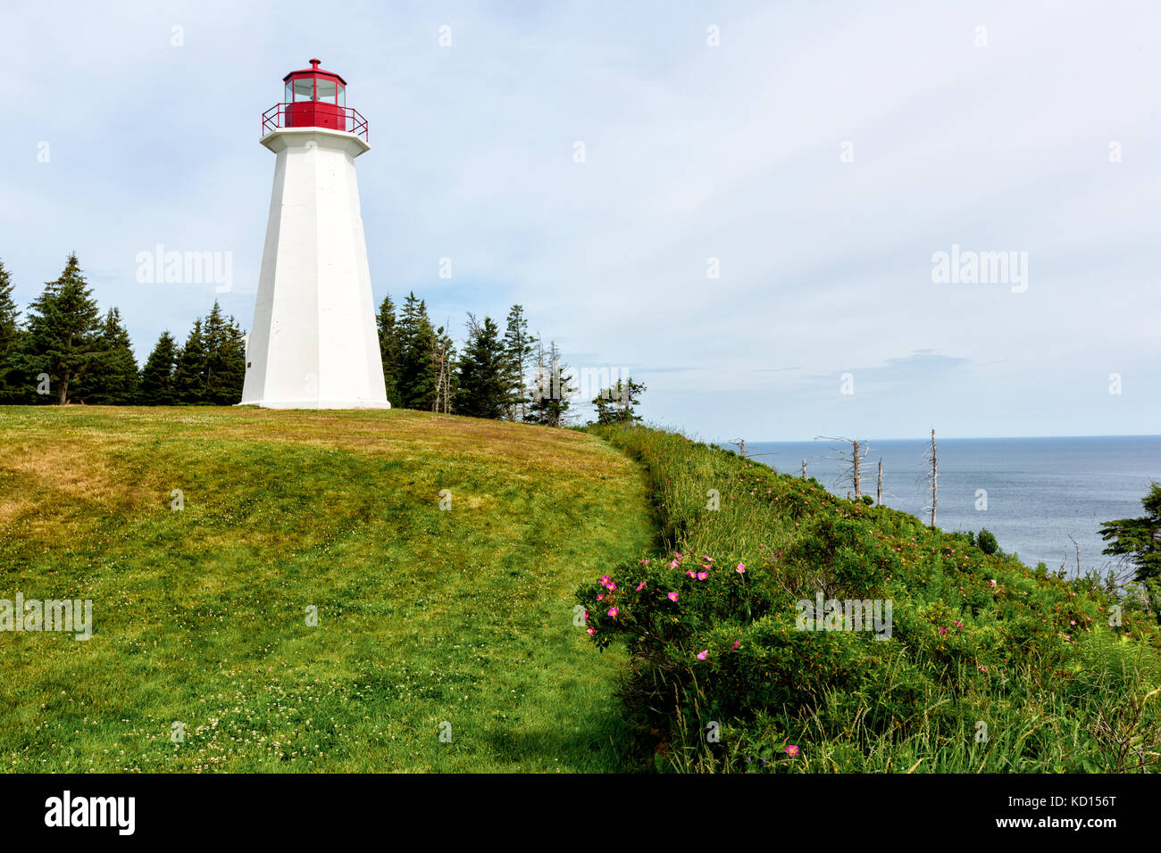 Land For Sale Sunrise Trail Ns at Stanley Abbott blog