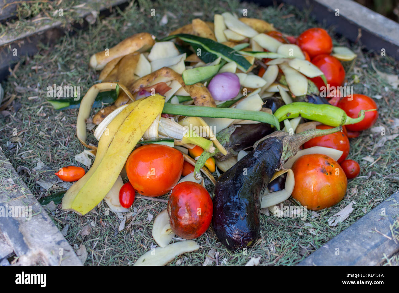 Pile of decomposed vegetables in a composter Stock Photo - Alamy