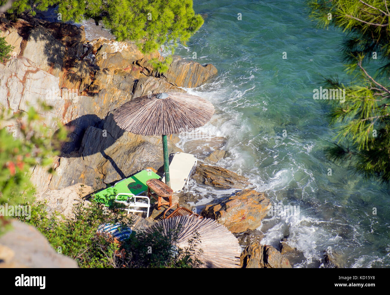 Restaurant trees hidden hi-res stock photography and images - Alamy