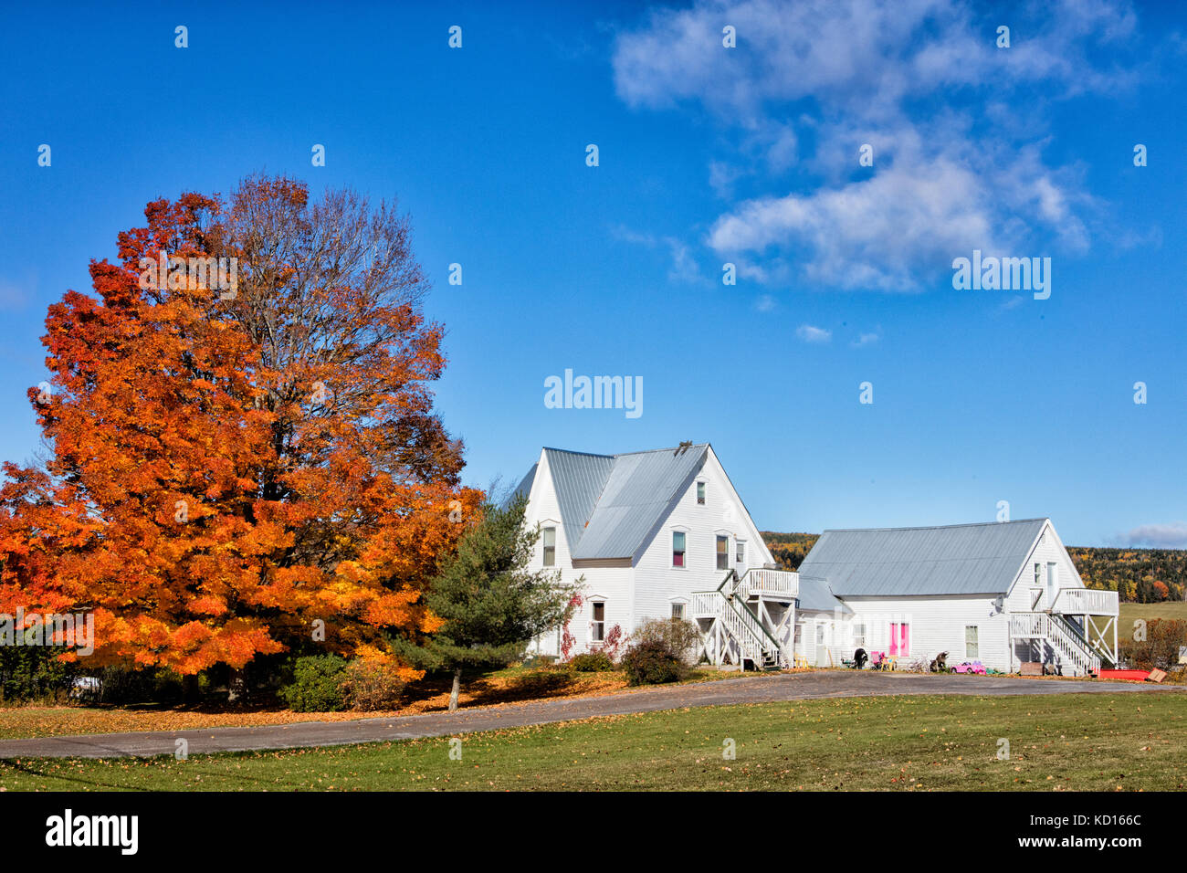 Cardwell hi-res stock photography and images - Alamy