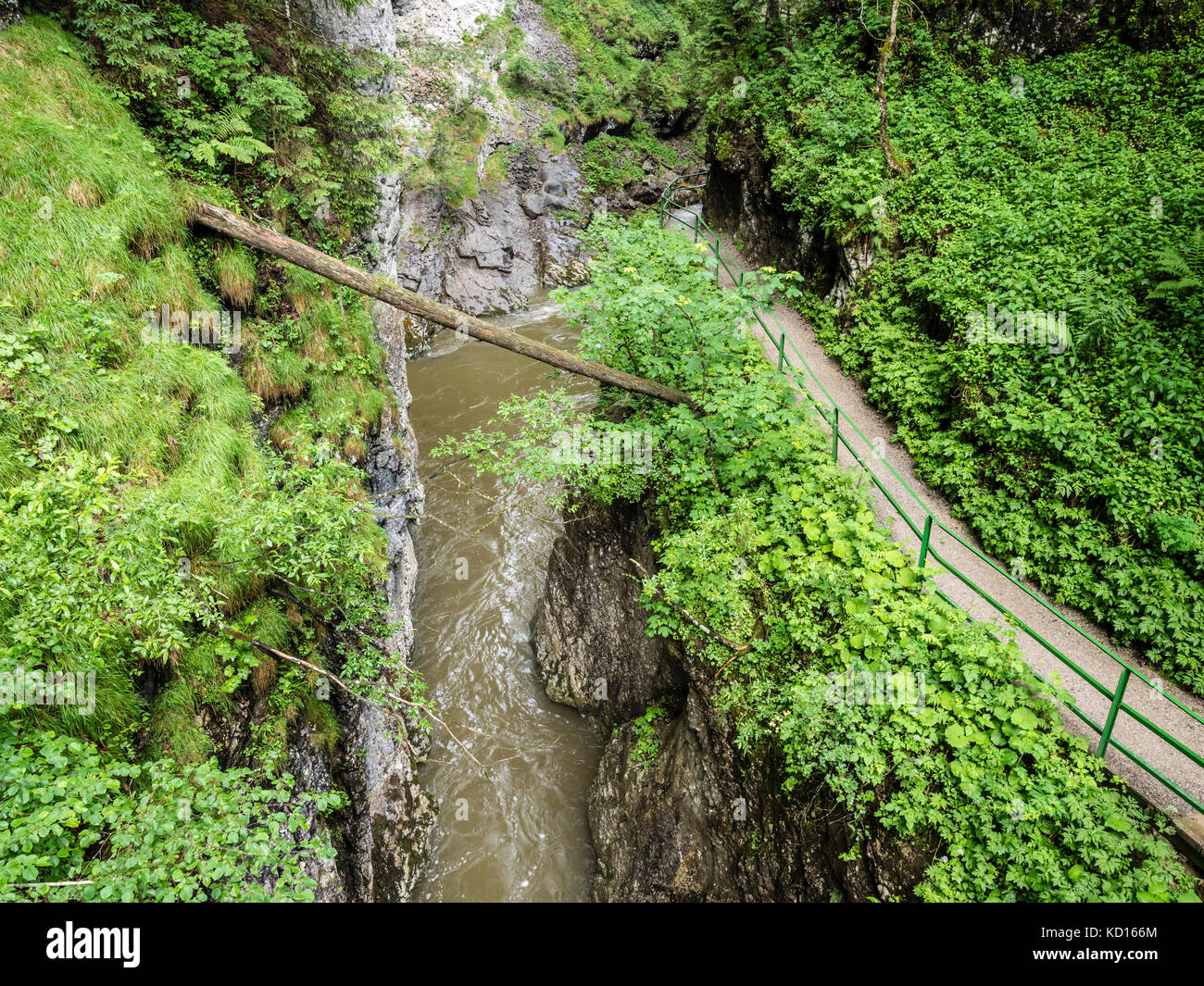 Breitachklamm gorge, near Oberstdorf, Bavaria, Allgäu, Allgaeu, Germany ...