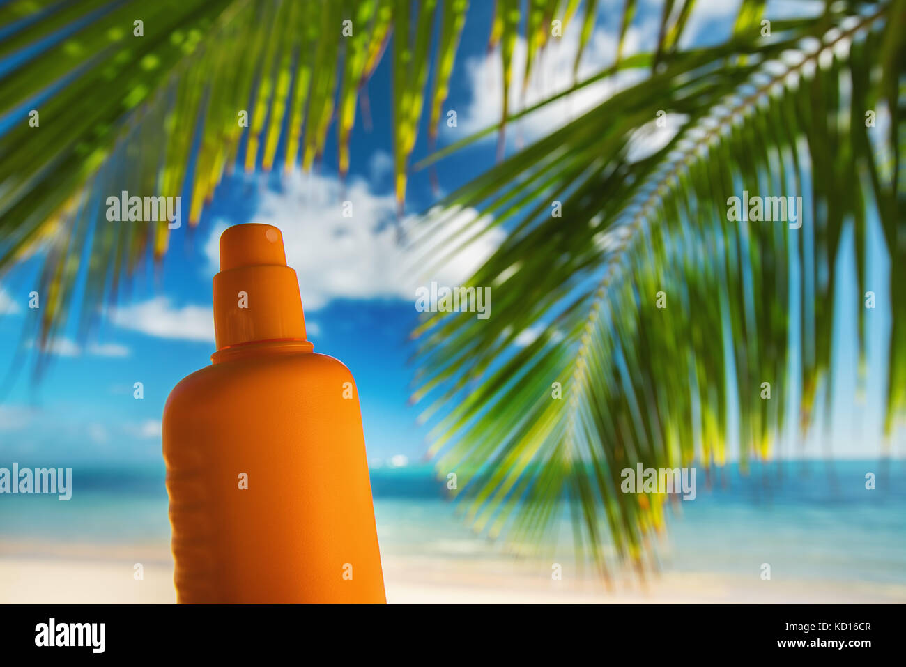 Bottle palm tree leaf hi-res stock photography and images - Alamy