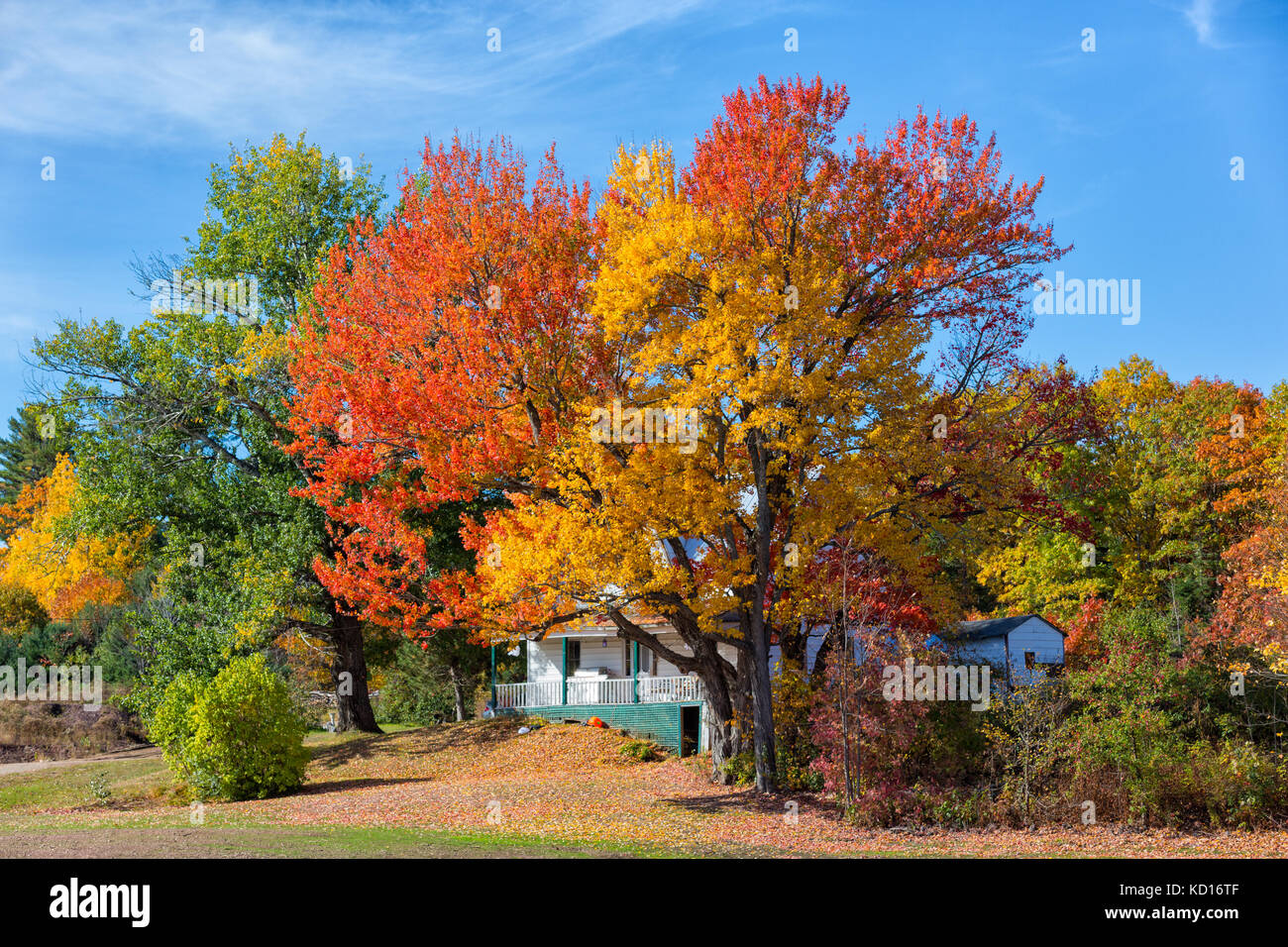 fall foliage and farmhouse, Gagetown, New Brunswick, Canada Stock Photo ...