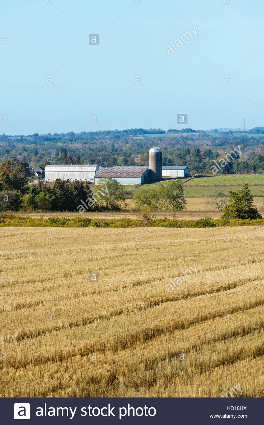 Hilly Country High Resolution Stock Photography and Images - Alamy
