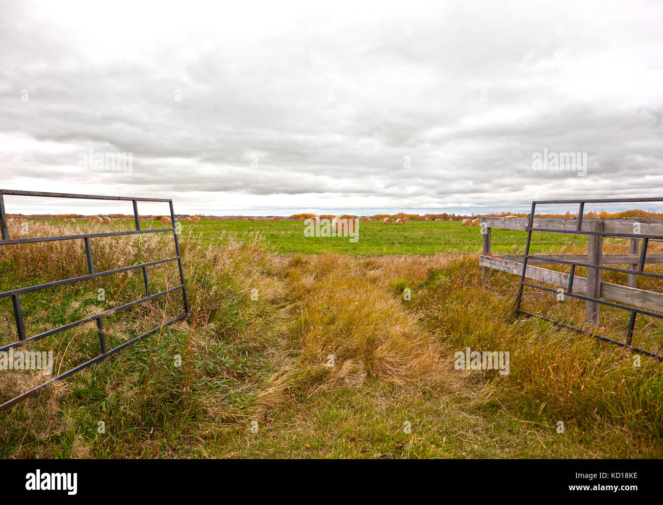 metal or wood gates leading to a field with haybales and dark overcast ...