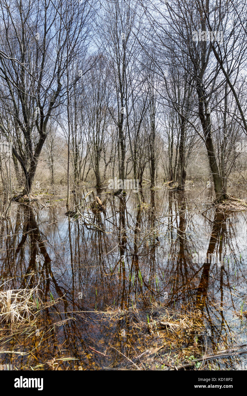 Big sandy bay conservation area hi-res stock photography and images - Alamy