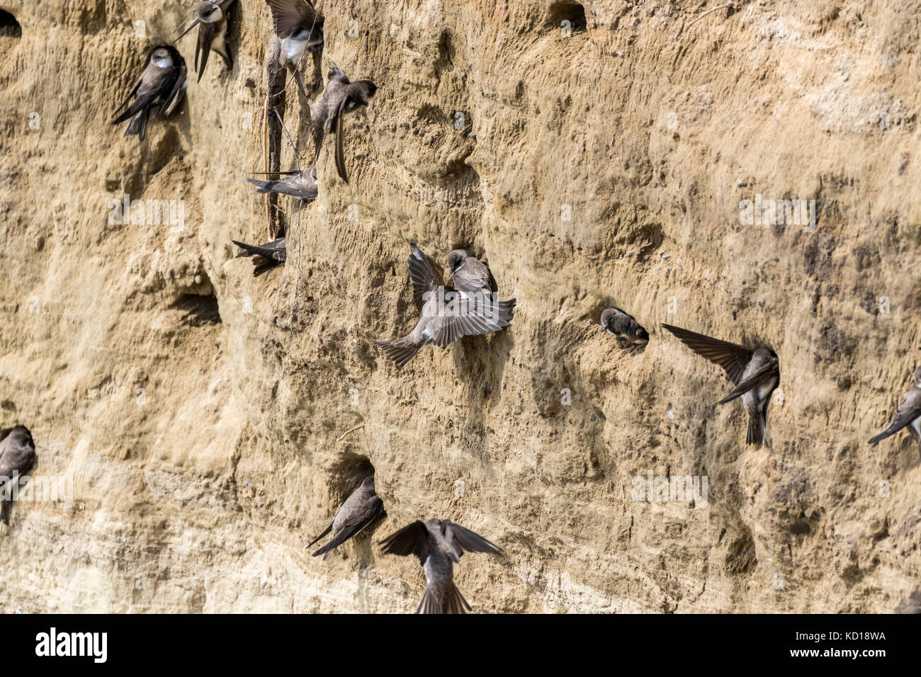 Scarborough bluffs park toronto hi-res stock photography and images - Alamy