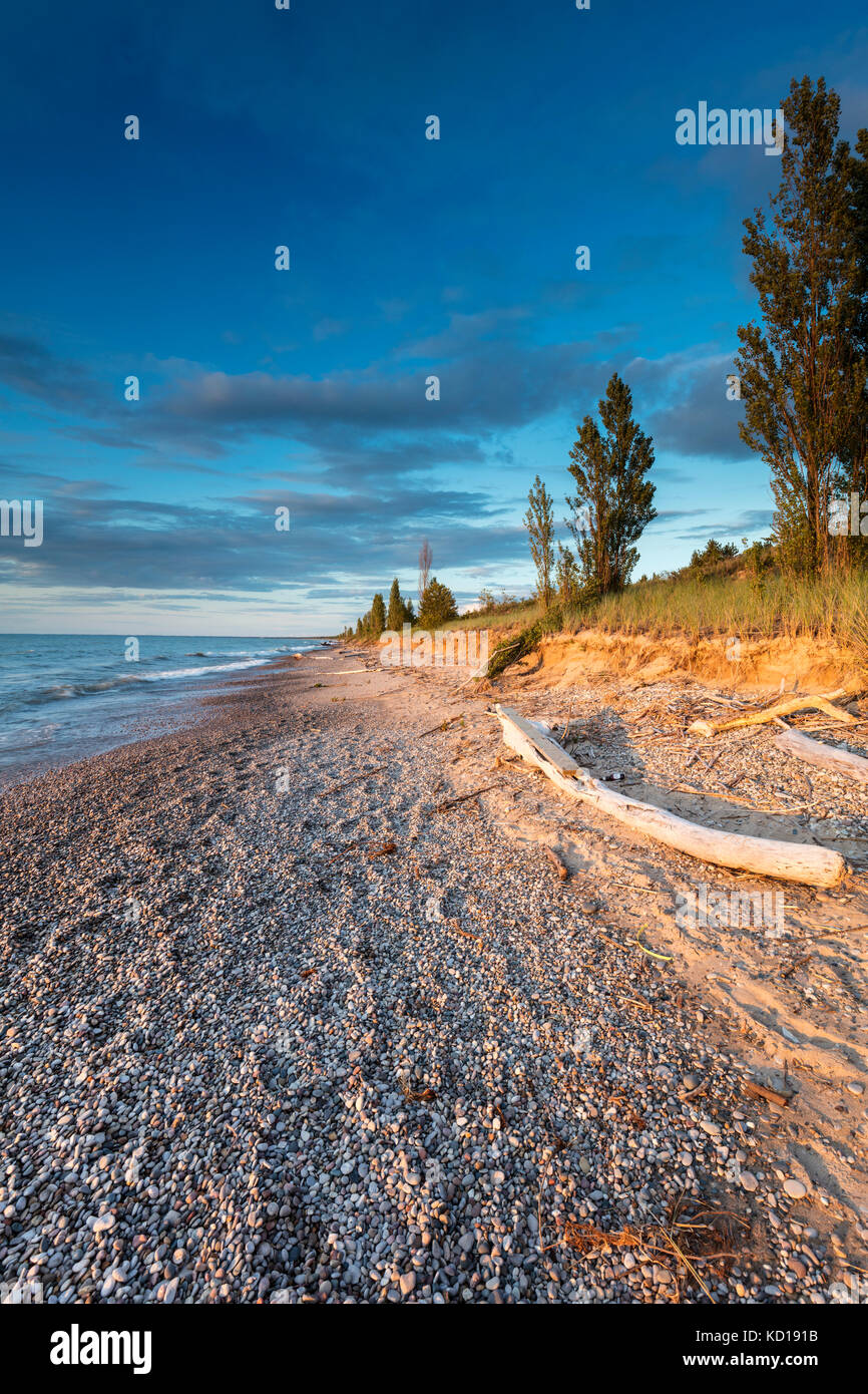 Driftwood on Burley Beach at the Pinery Provincial Park, Ontario ...