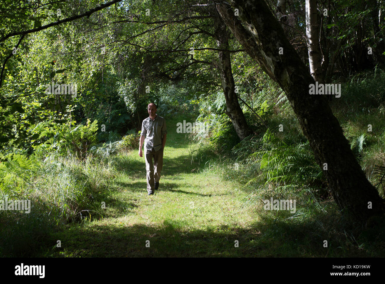 Abriachan tree hi-res stock photography and images - Alamy