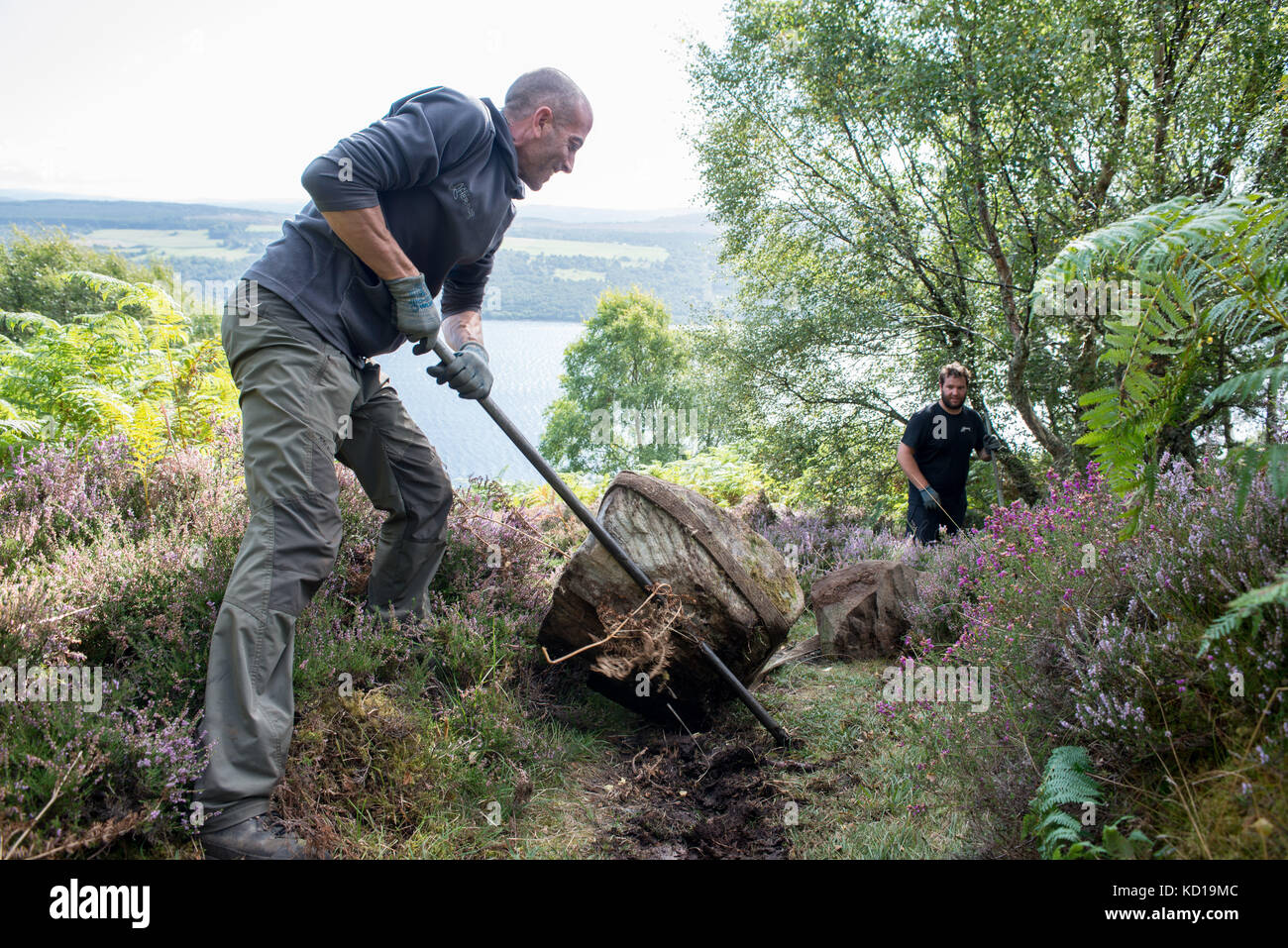 Repairing hi-res stock photography and images - Alamy