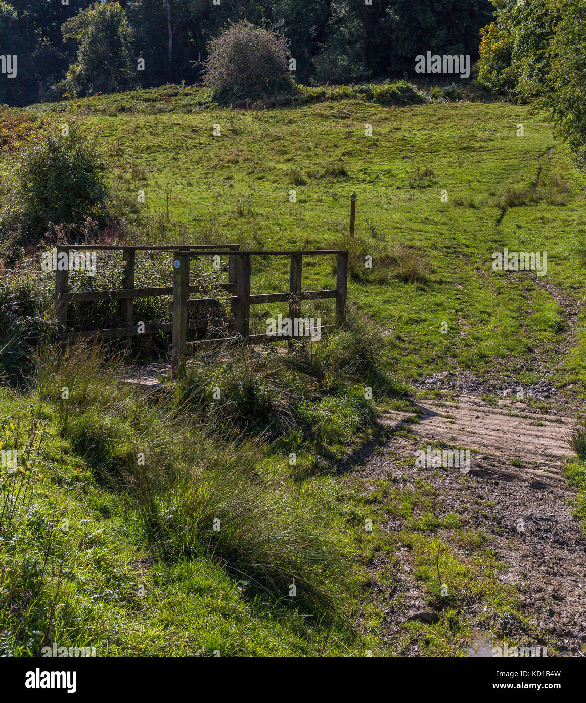 Wooden footbridge across a stream near Elmely Castle Stock Photo - Alamy