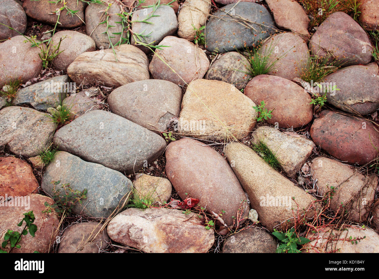 Floor of stone and grass with texture background Stock Photo - Alamy