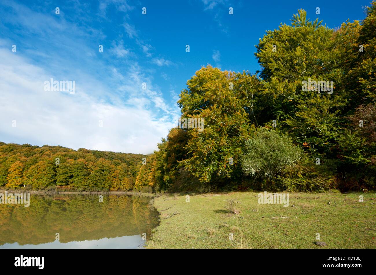 Jungle irati hi-res stock photography and images - Alamy