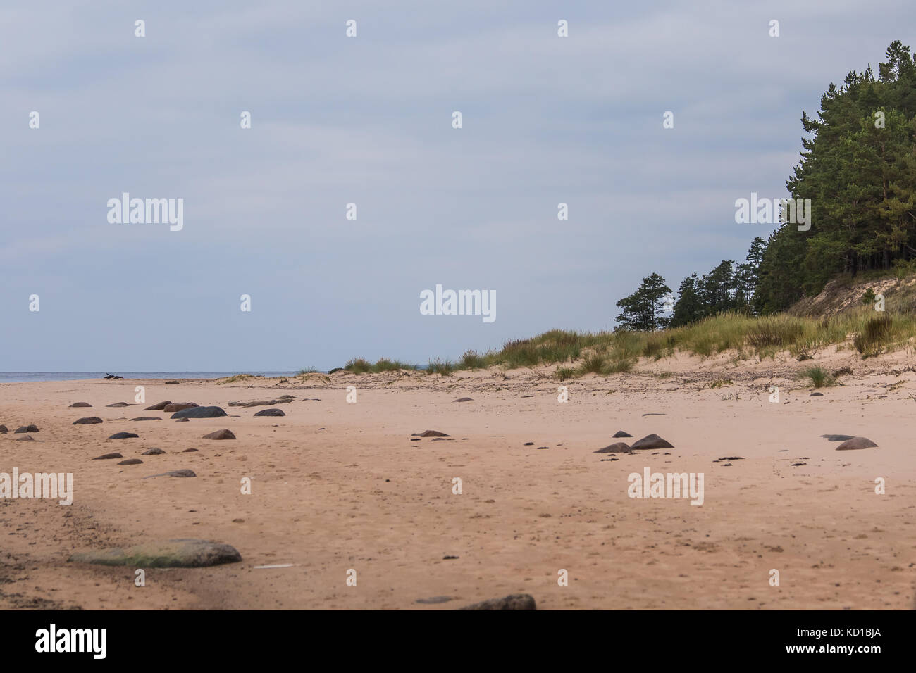 A calm beach landscape in Latvia. Beautiful seaside scenery at the ...