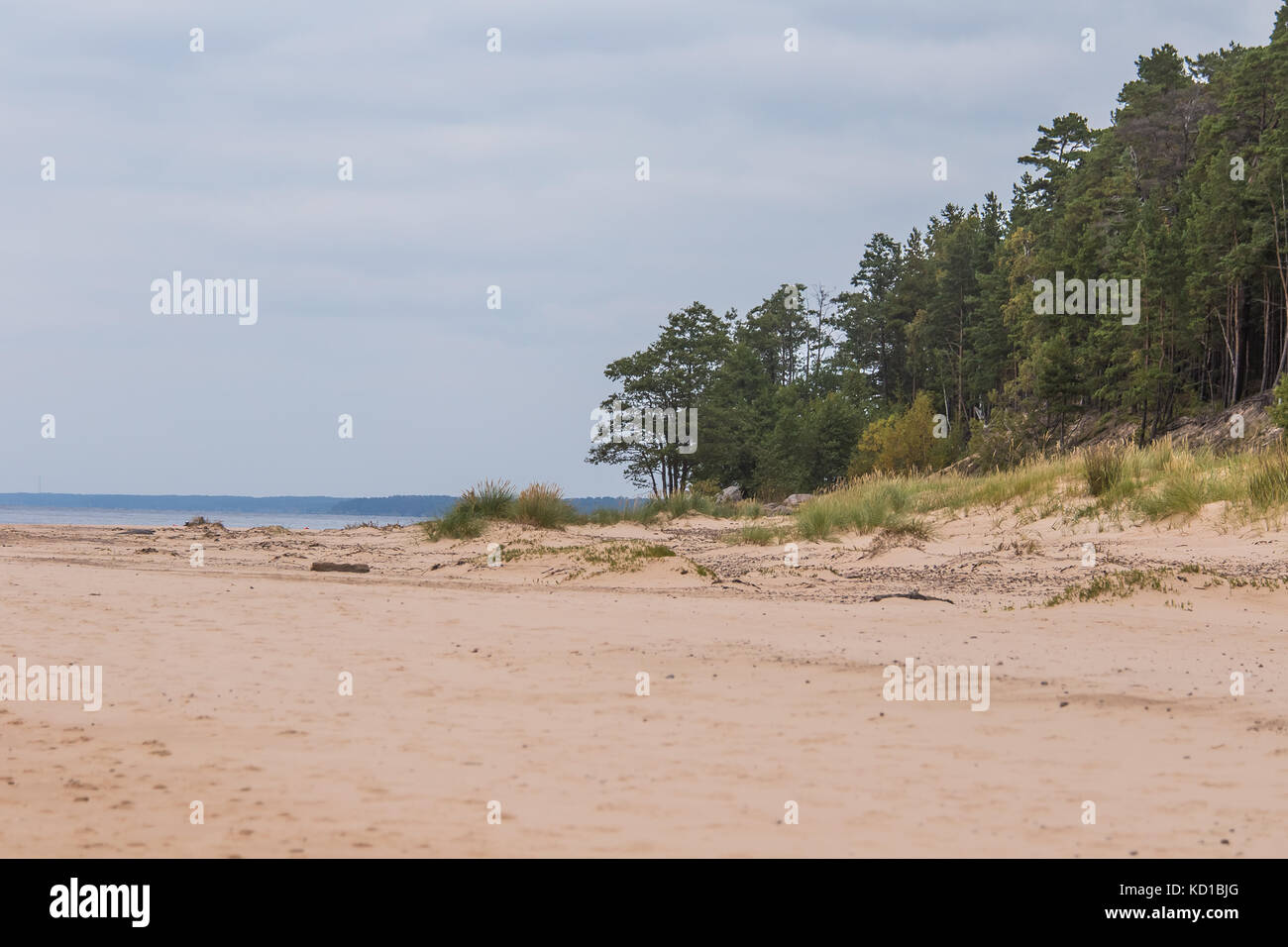 A calm beach landscape in Latvia. Beautiful seaside scenery at the ...