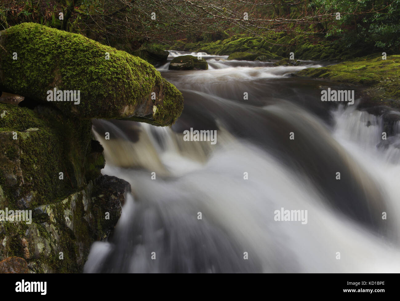 fast flowing water around mossy rocks Stock Photo - Alamy