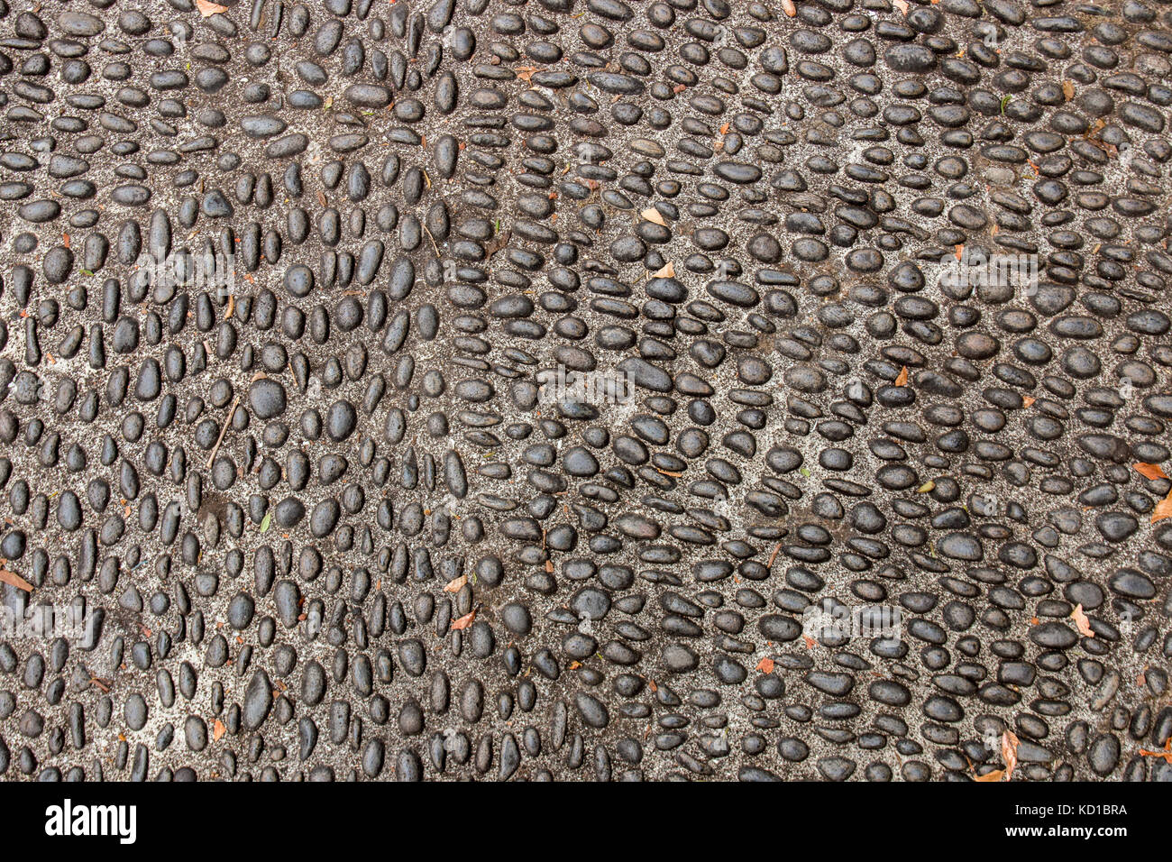 Top view of a Pebble and cement ground texture Stock Photo - Alamy