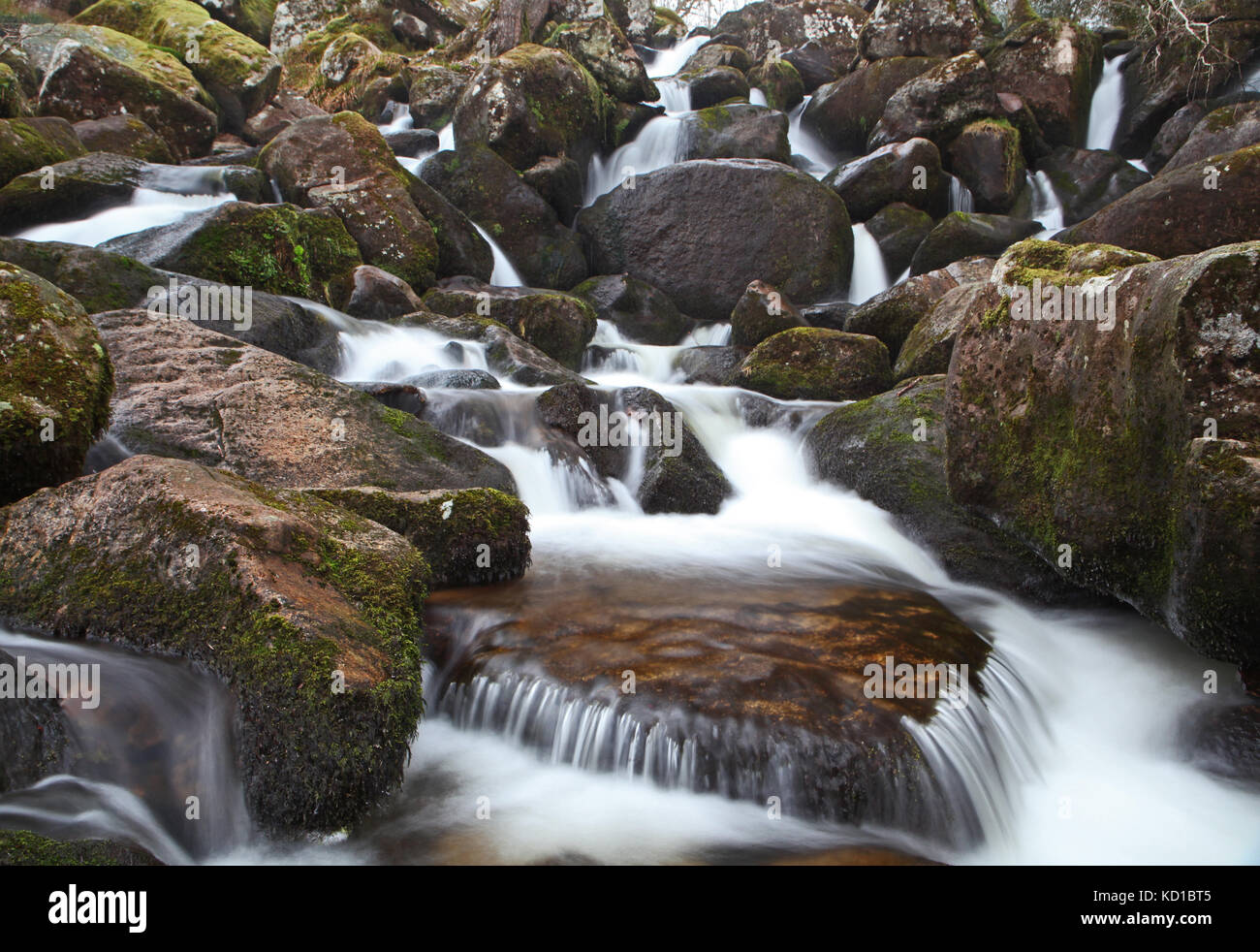 water flowing over rocks in Becka Brook at Becky Falls, Manaton, Devon ...