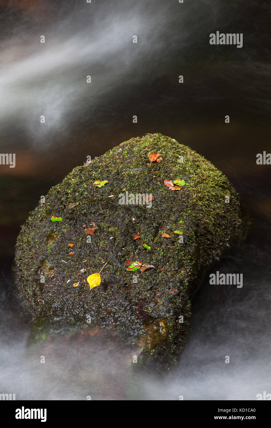 Moss covered rock in stream Stock Photo - Alamy