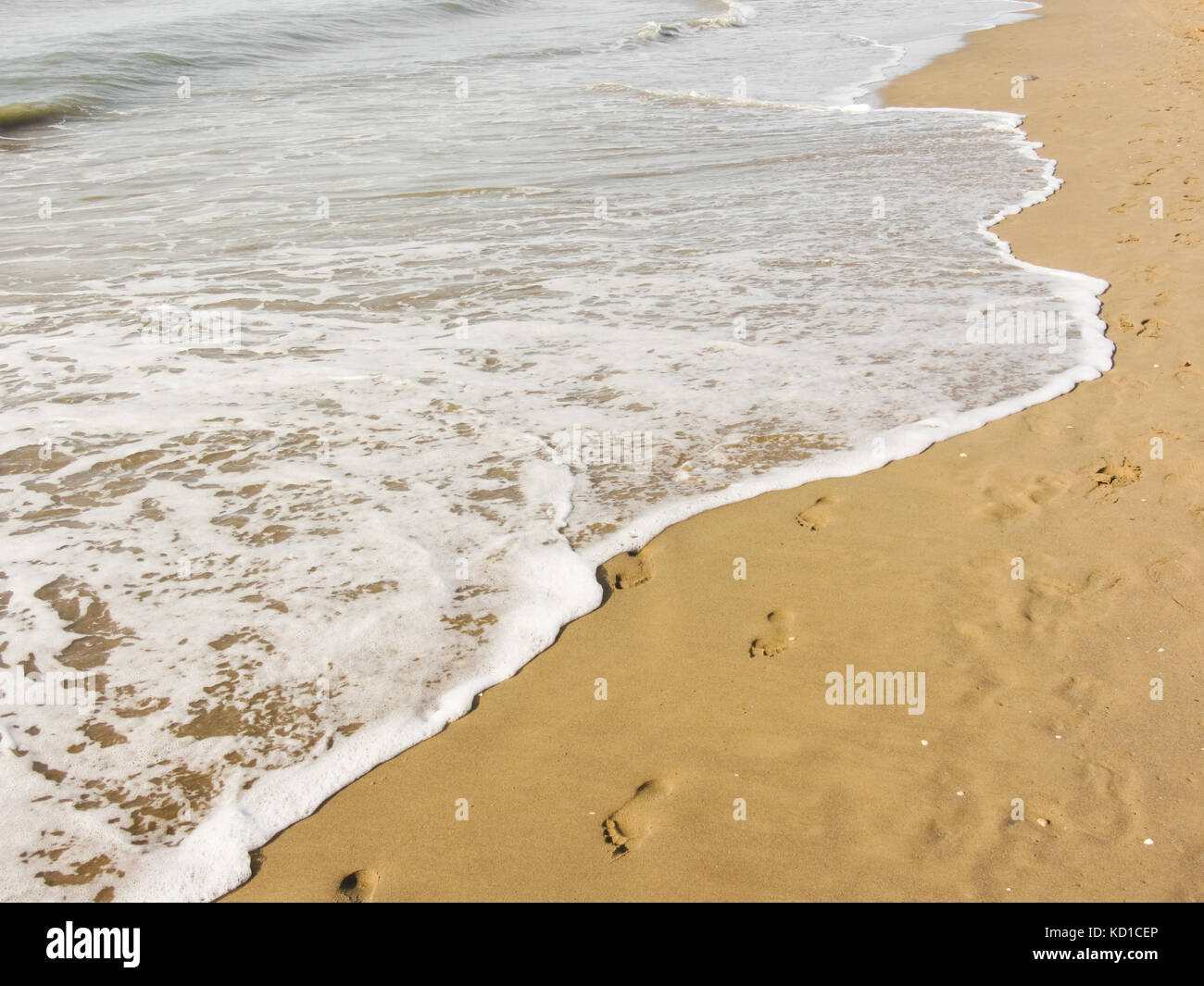 the sea long the shoreline from an Italian beach Stock Photo - Alamy