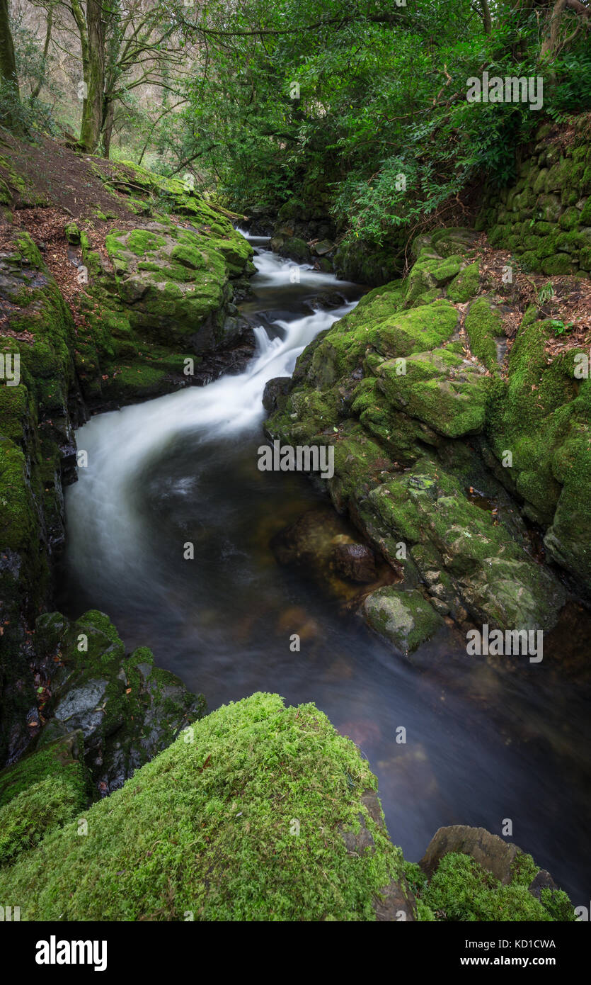 River Erme at Ivybridge, Devon, UK Stock Photo - Alamy