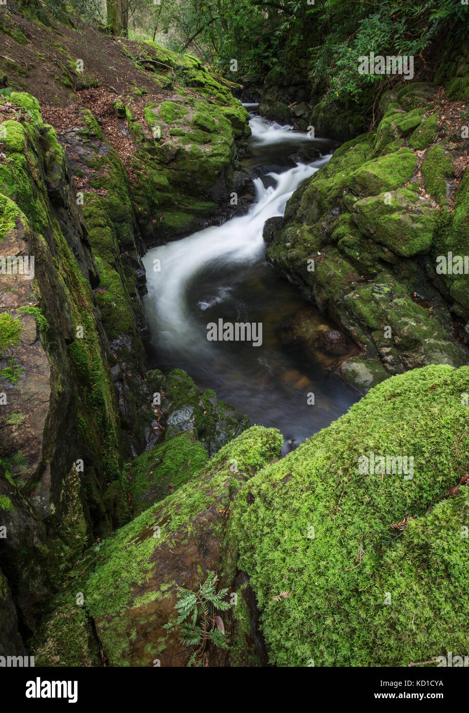 River Erme at Ivybridge, Devon, UK Stock Photo - Alamy