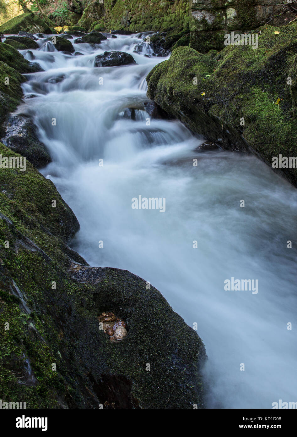 River Erme at Ivybridge, Devon, UK Stock Photo - Alamy