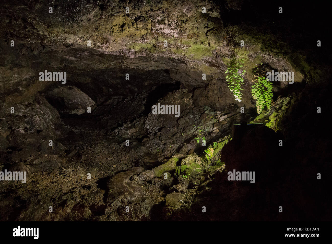 Volcanic Caves of Sao Vicente, located in Madeira island, Portugal ...