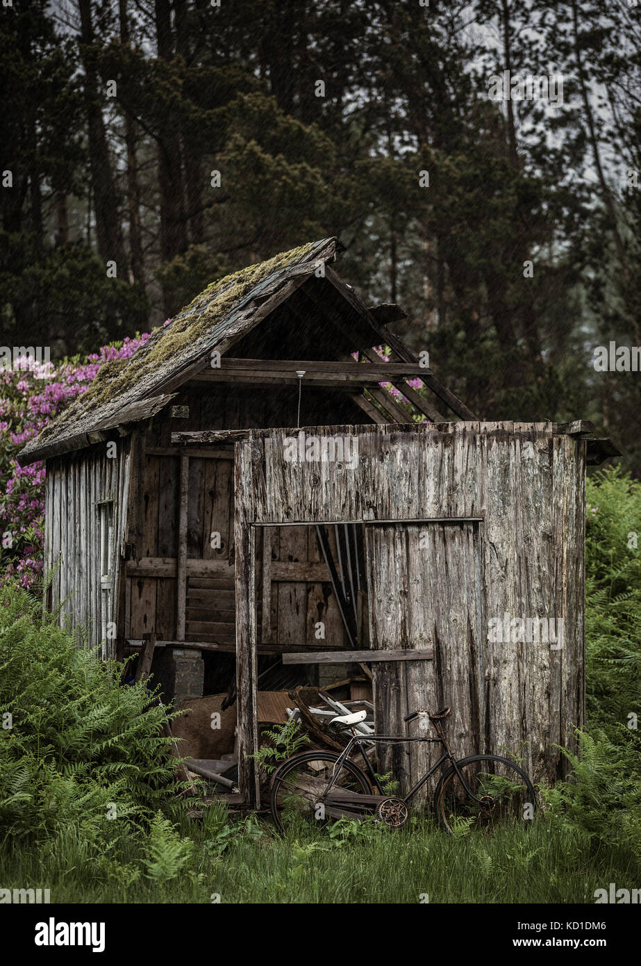 Broken shed hi-res stock photography and images - Alamy