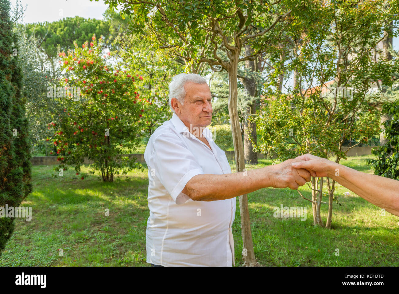 old man shaking hand in green garden Stock Photo - Alamy